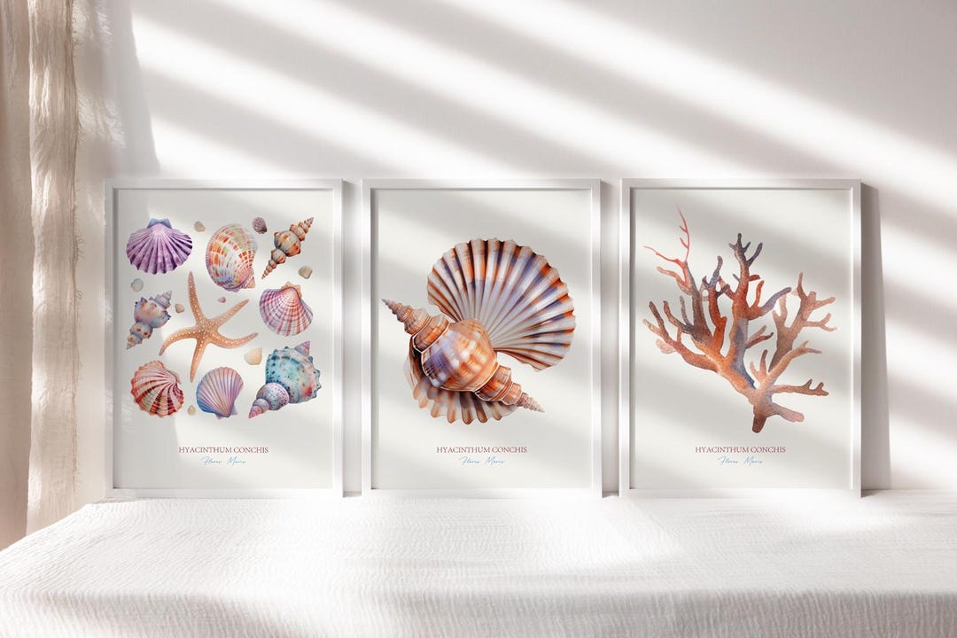 Seashell Art Set of 3, Seashell Art Print, Coastal Wall Art, Beachy ...
