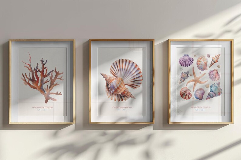 Seashell Art Set of 3, Seashell Art Print, Coastal Wall Art, Beachy ...