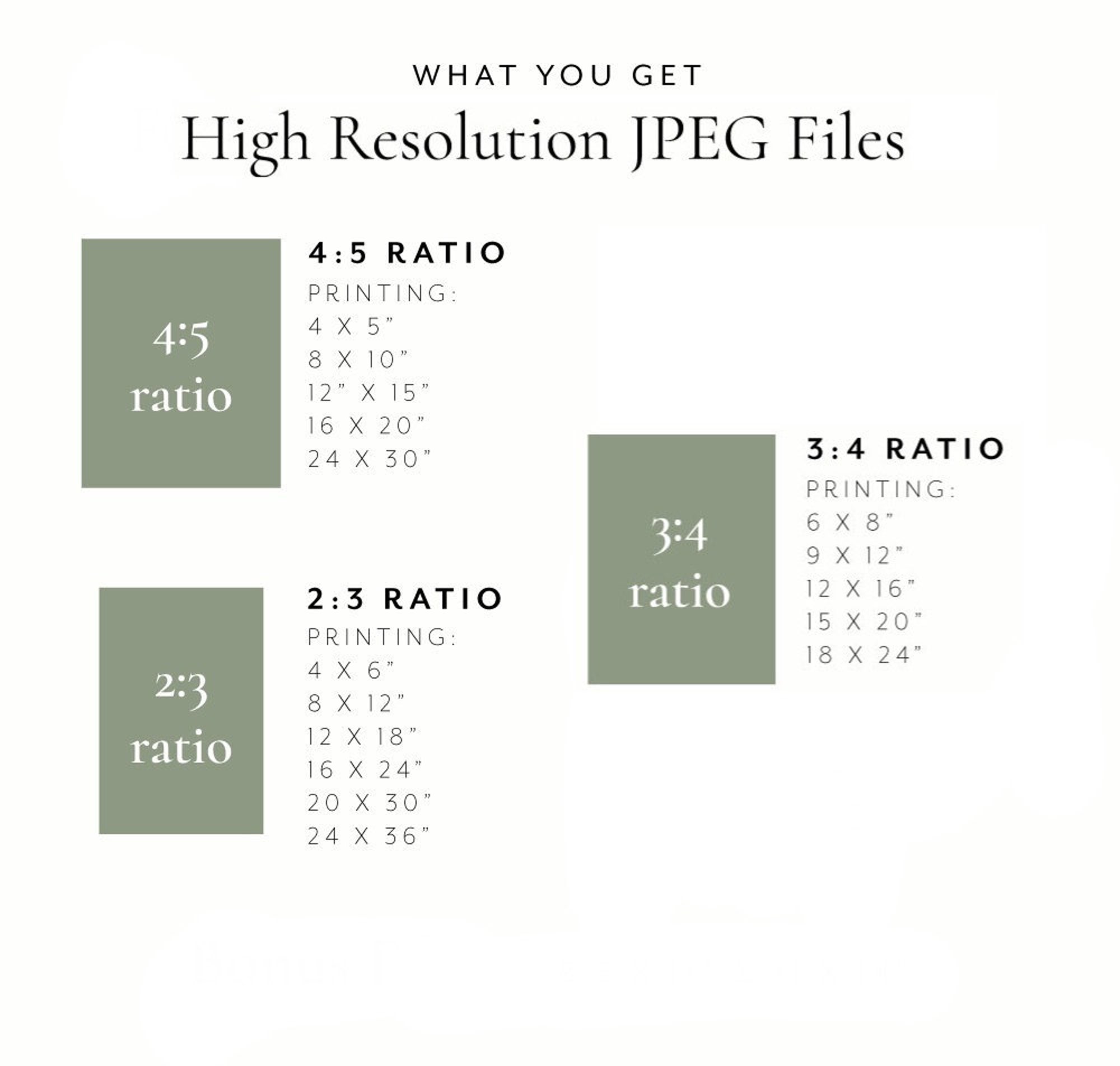 Tintin Comics Printable Wall Art | Comic Poster | Comics Art Print ...