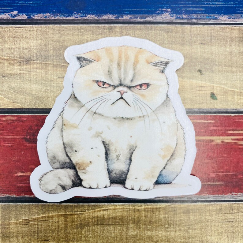 Funny Grumpy Striped Cat Sticker Cute Sticker | Grumpy Kitty Sticker ...