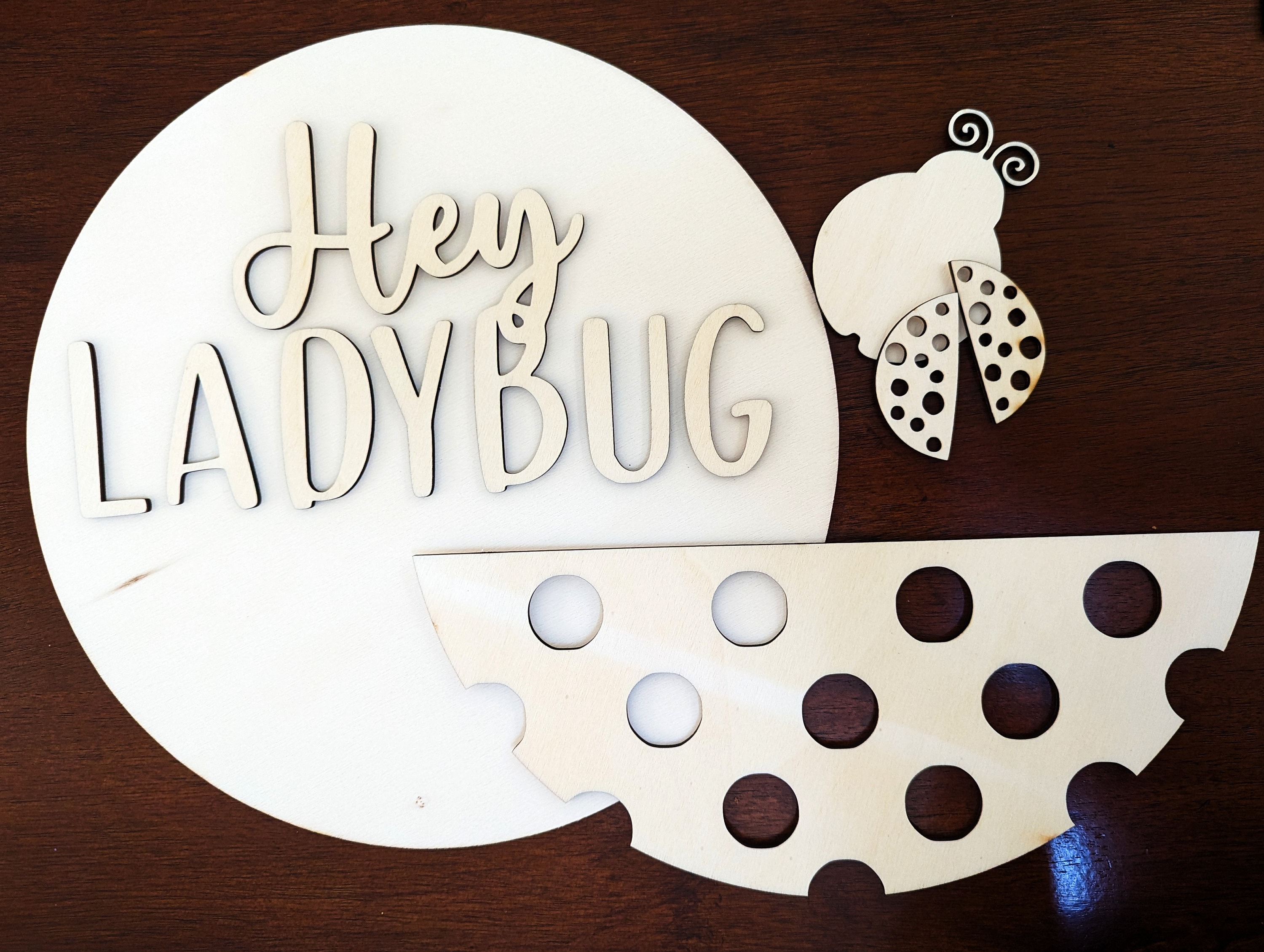 Hey Lady Bug Welcome DIY Wood Sign Kit, Ready to Finish Crafts, DIY ...