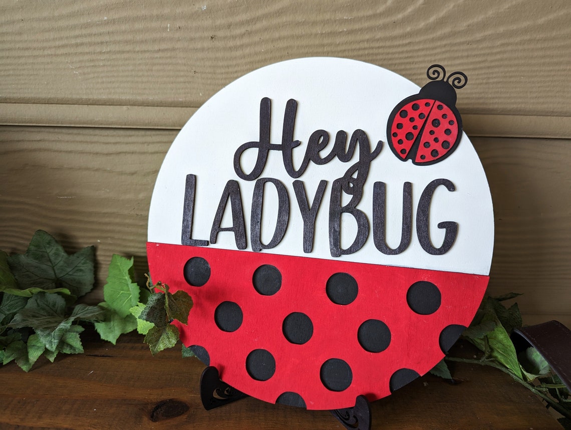 Hey Lady Bug Welcome DIY Wood Sign Kit, Ready to Finish Crafts, DIY ...