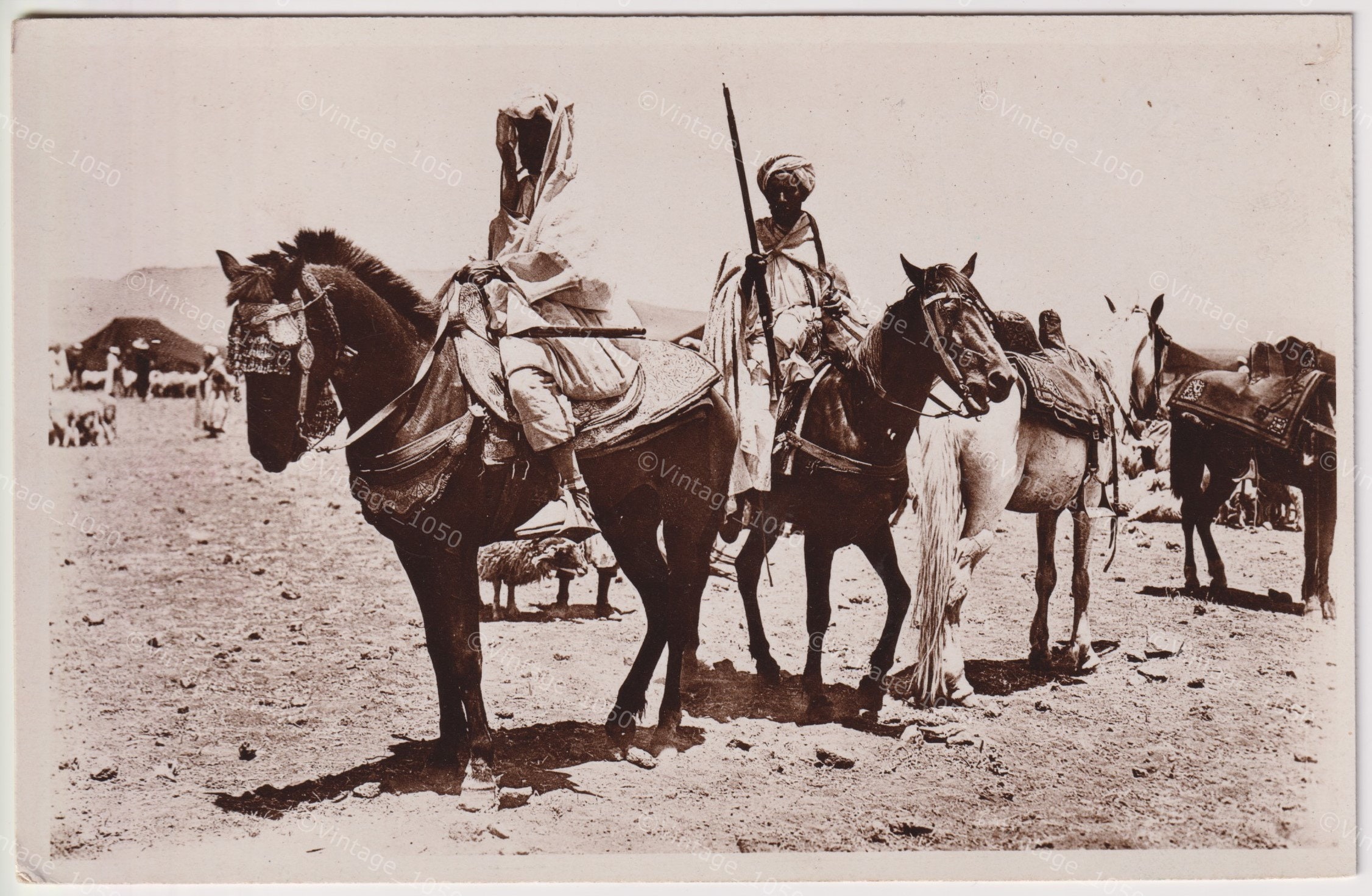 MAGHREB From 1904 to 1929 Old Postcard 9x14cm postcard algeria tunisia ...