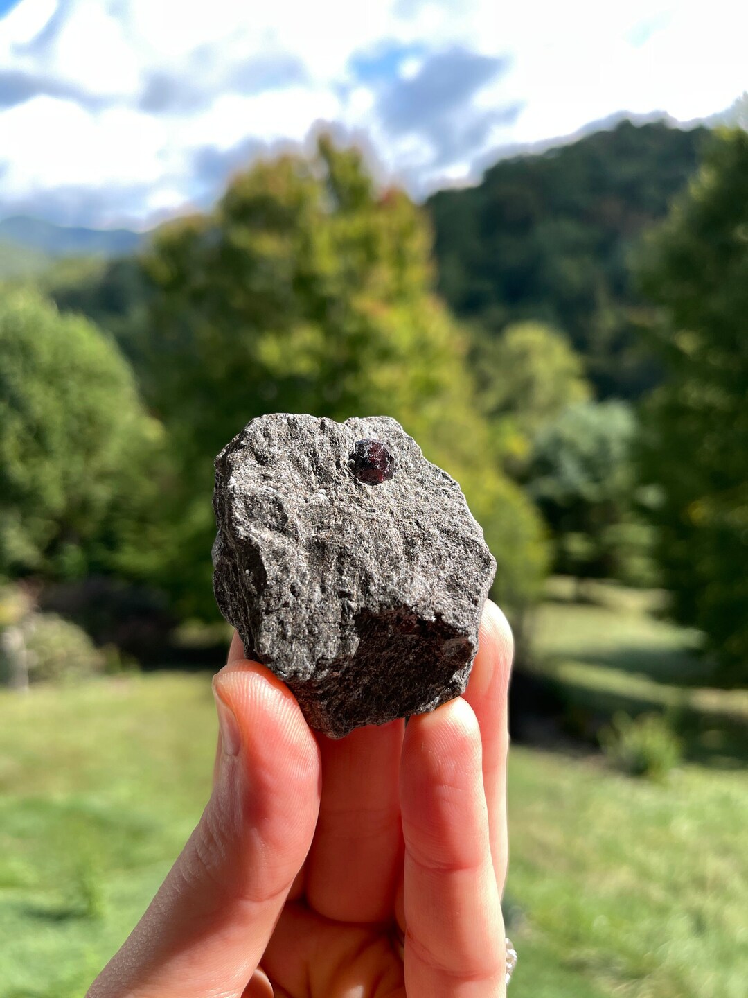 Garnets in Matrix From Wrangell, Alaska - Etsy