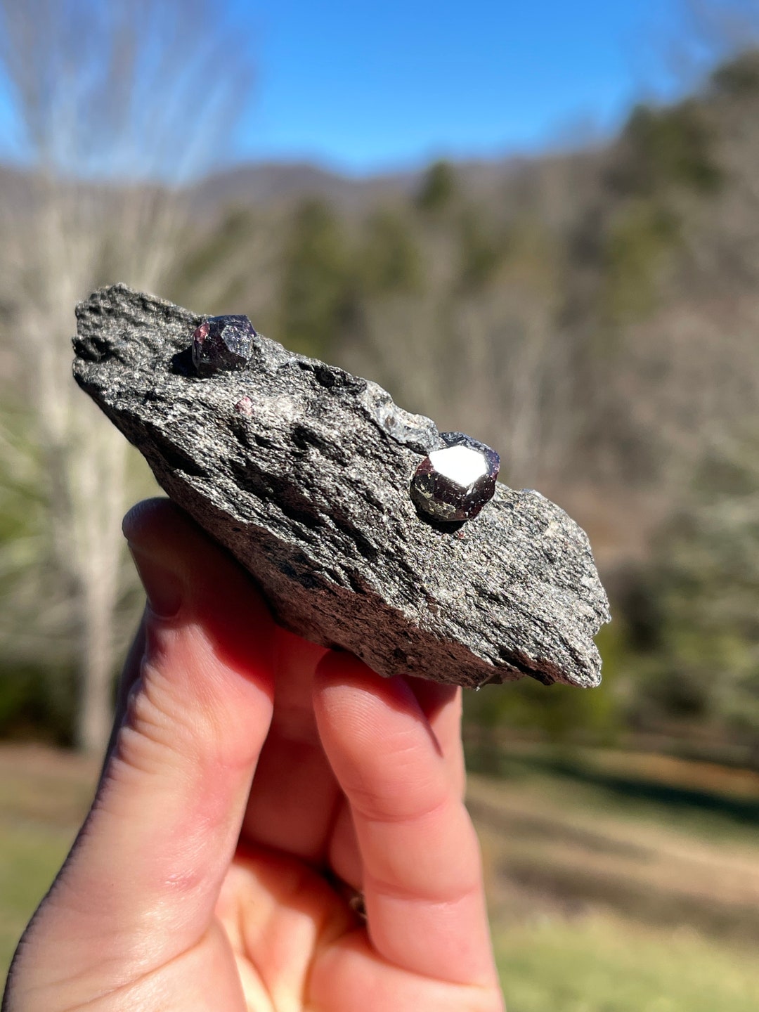 Garnets in Matrix From Wrangell, Alaska - Etsy