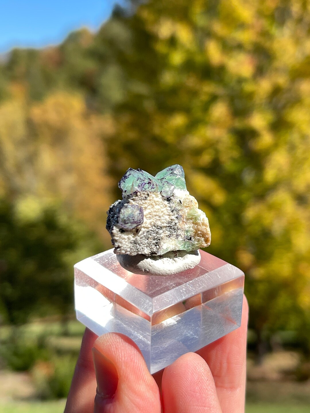 Fluorite on Feldspar From Erongo, Namibia - Etsy