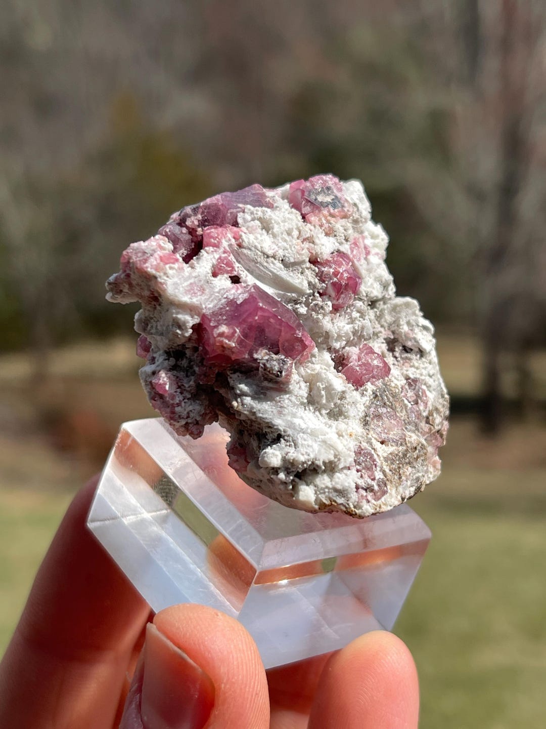 Raspberry Garnets in Matrix From Sierra De Cruces, Coahuila, Mexico - Etsy