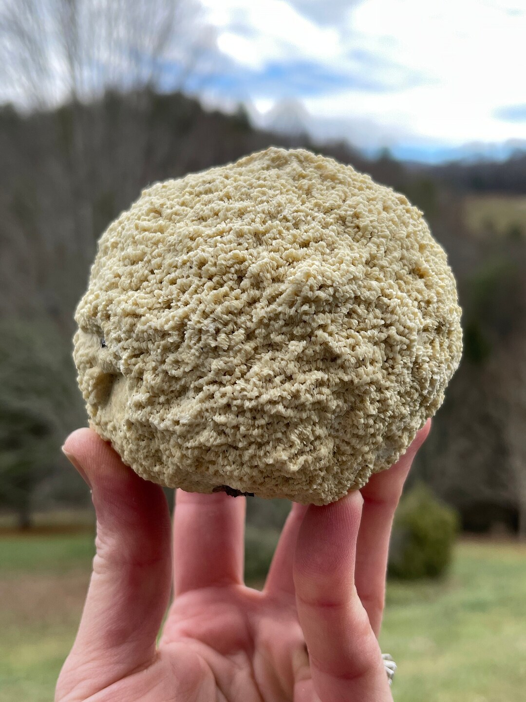 Barite Ball From the Elmwood Mine in Carthage, Tennessee - Etsy