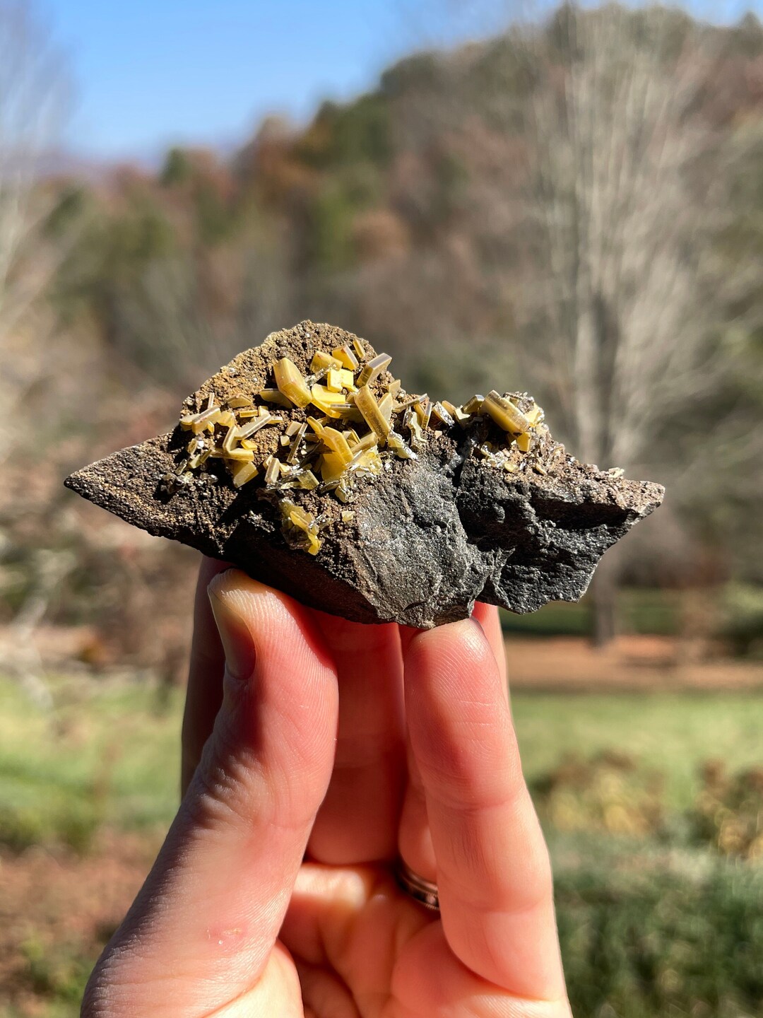 Wulfenite on Matrix From the Ojuela Mine in Durango, Mexico - Etsy