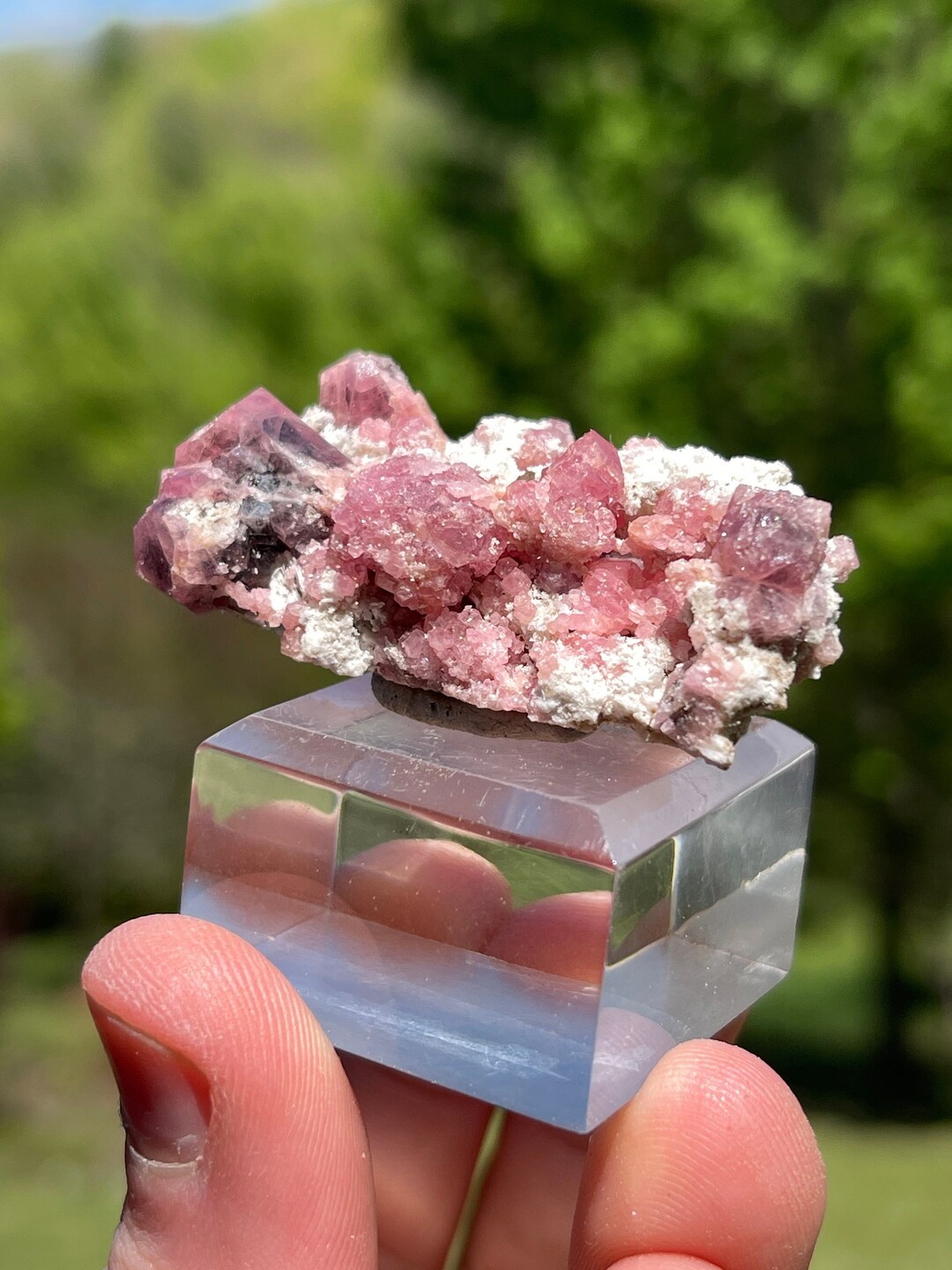 Pink Garnet (raspberry Garnet) From Sierra De Cruces, Coahuila, Mexico ...