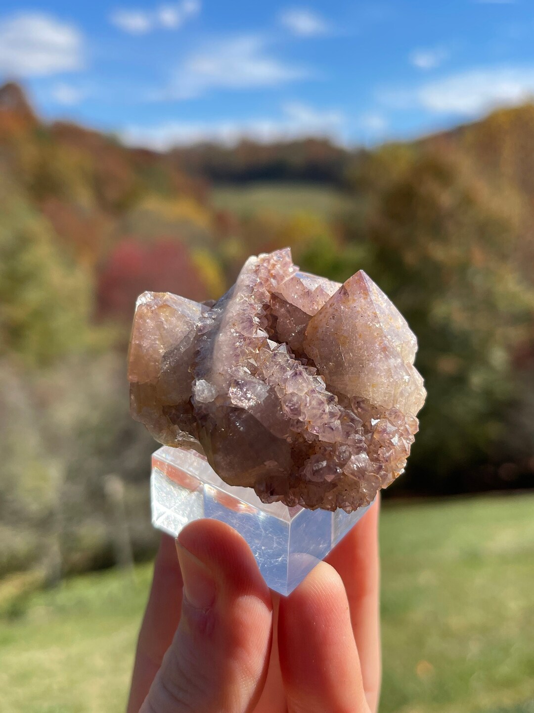 Cactus Amethyst From the Kalahari Manganese Fields in South Africa - Etsy