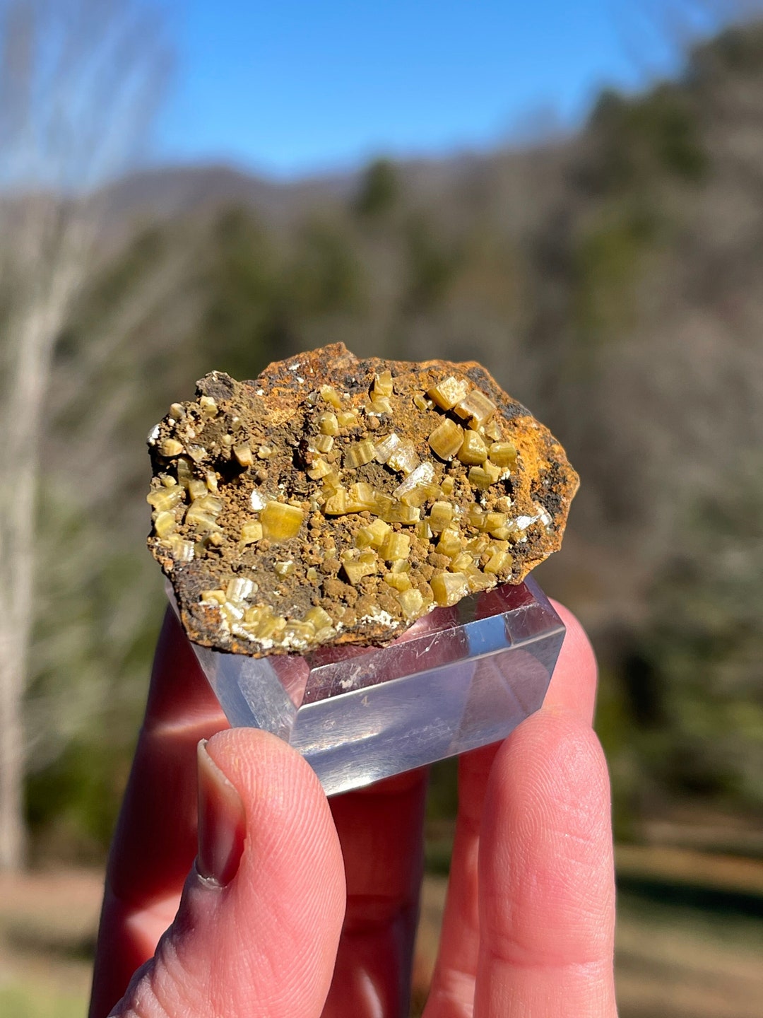 Wulfenite on Matrix From the Ojuela Mine in Durango, Mexico - Etsy