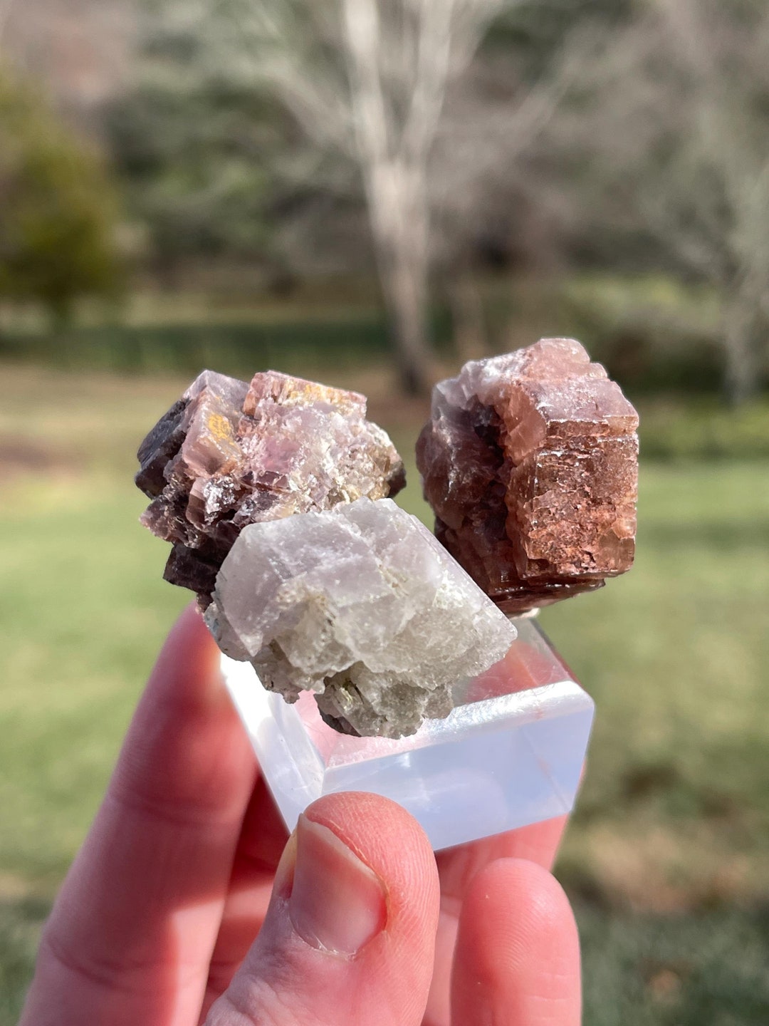 3 Pc. Set of Aragonite Crystals From Spain - Etsy