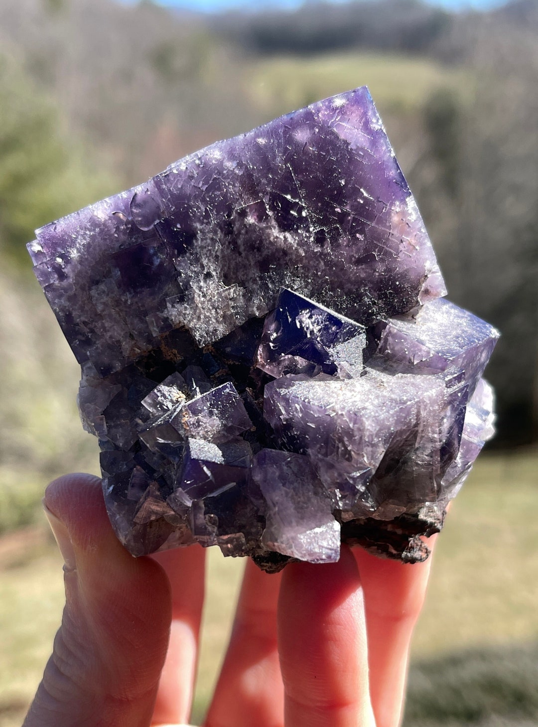 Fluorite From the Purple Rain Pocket of the Lady Annabella Mine in ...