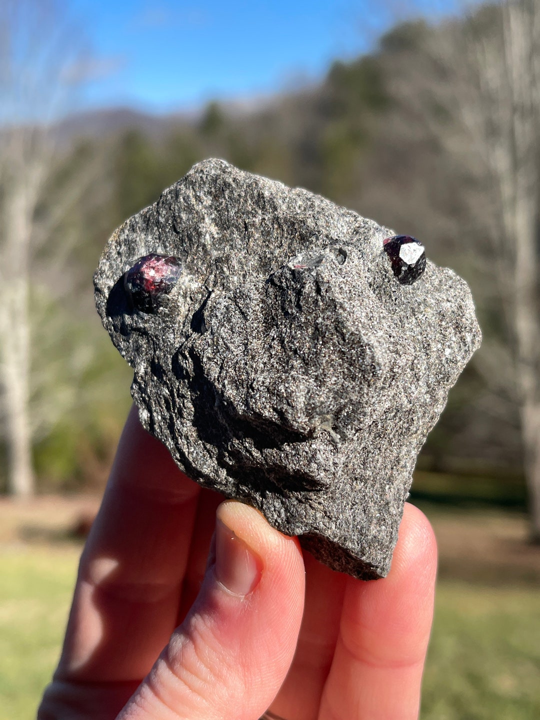 Garnets in Matrix From Wrangell, Alaska - Etsy