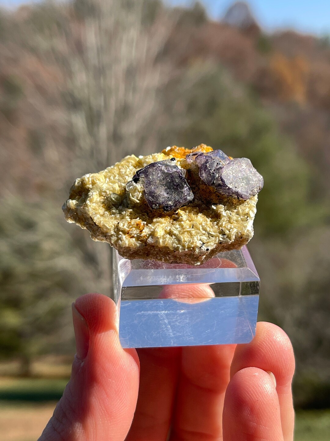 Fluorite on Mica From Erongo, Namibia - Etsy