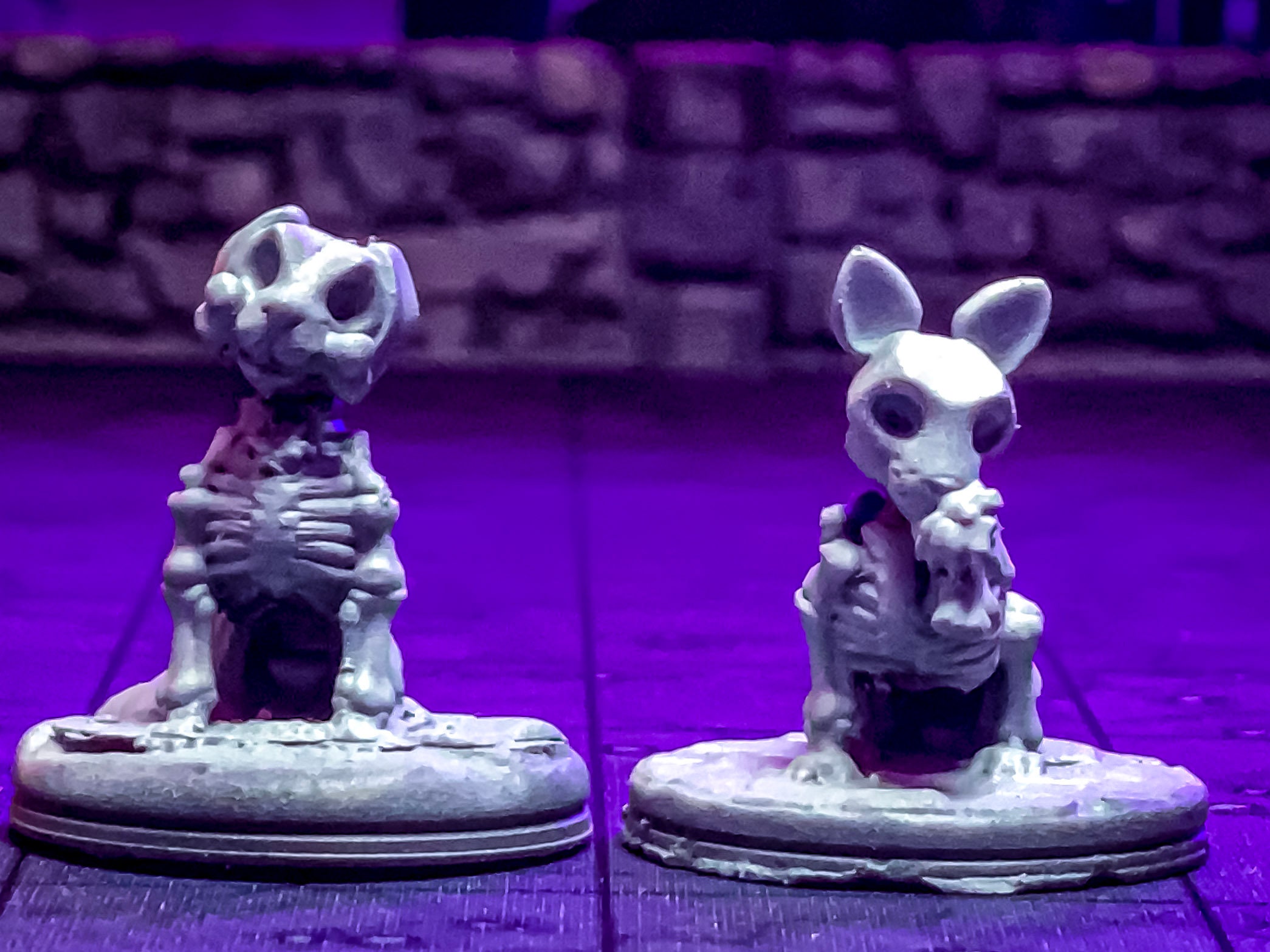 Skeletal Dog & Cat / Pets / Undead / Tabletop Games / RPG / 3D | Etsy