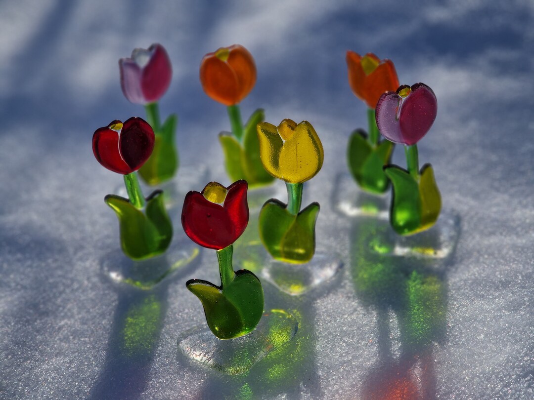 Glass Tulip - Etsy