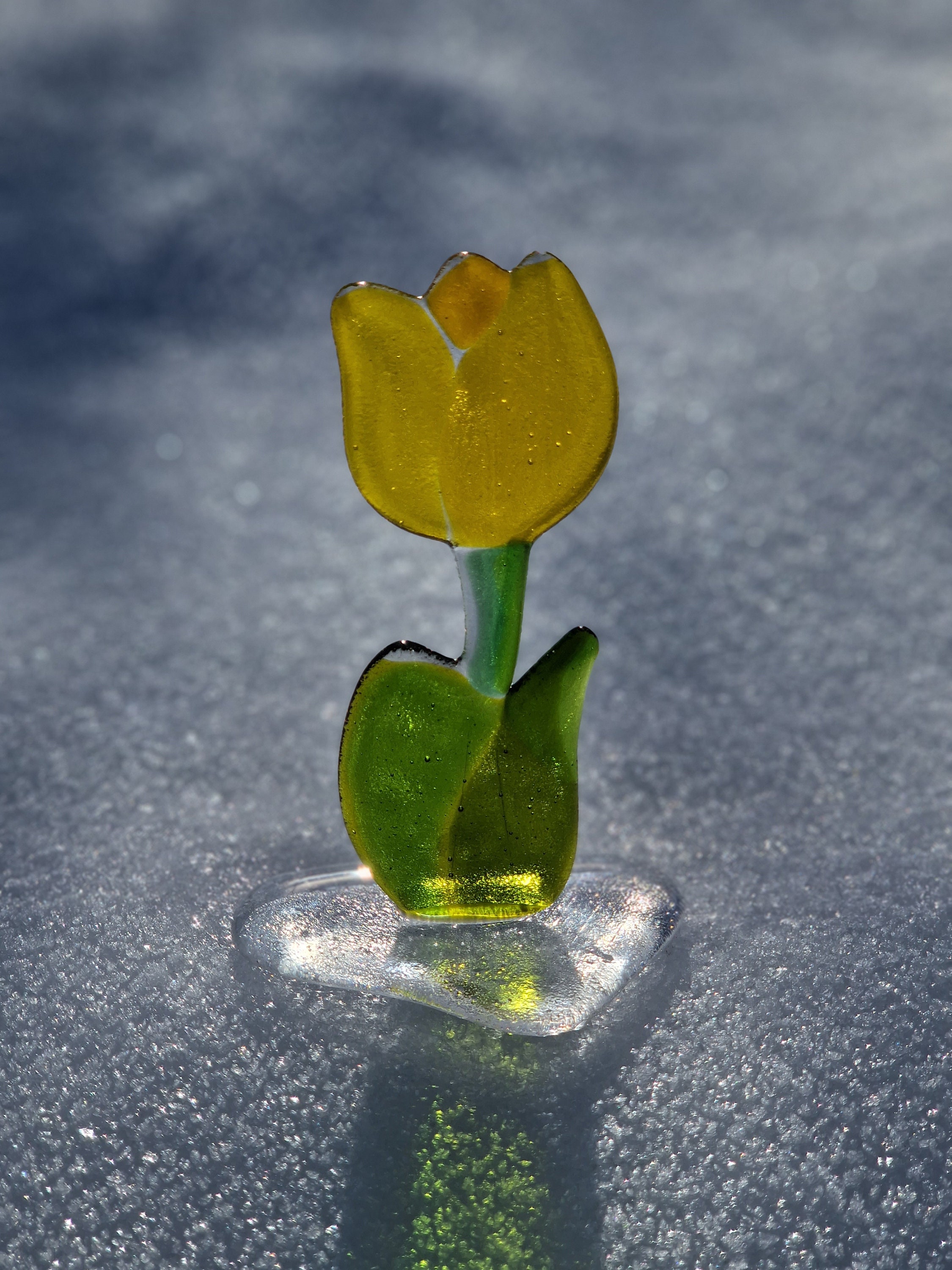 Glass Tulip - Etsy