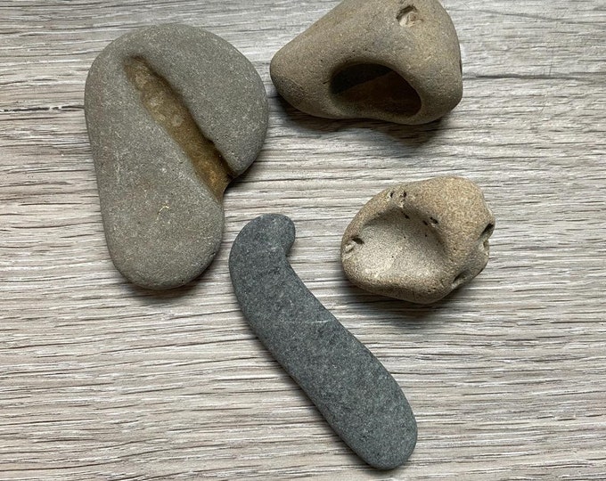Odd Beach Stones, Unusual Beach Finds, Weird Shaped Rocks, 4.9 OUNCES ...