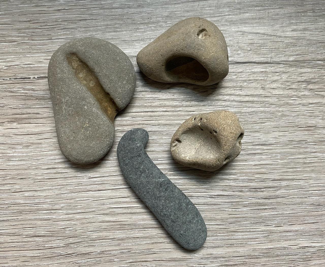 Odd Beach Stones Unusual Beach Finds Weird Shaped Rocks