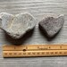 TWO 2 Heart Stones, 8.1 Oz., Beach Stone Hearts, Heart Shaped Beach ...