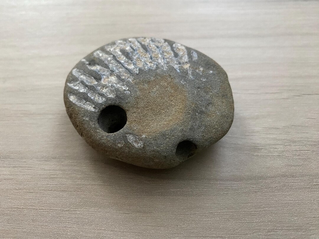 Hag Stone, 3.8 Oz., Fossil Stone, Holey Stone, Odin Stone, Pagan Stone ...