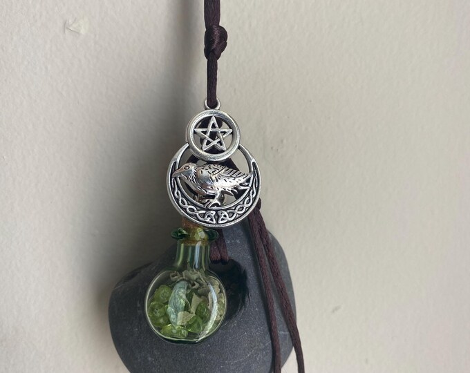 Hag Stone Raven Pentacle Wall Hanging Peridot Crystals White Sage ...