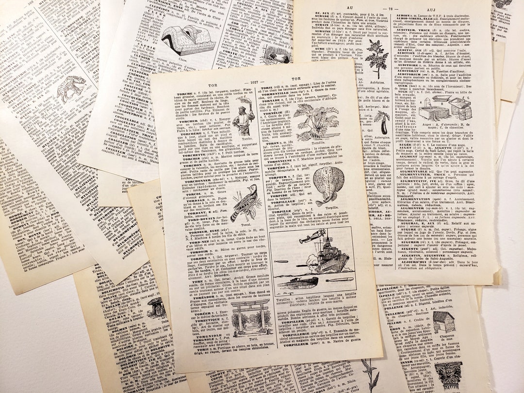FRENCH Illustrated Dictionary Pages - 1950s, Vintage French Ephemera ...