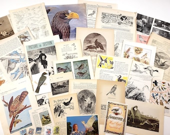 Map Scraps Vintage Ephemera Pack Map Pieces, Maps for Craft, Old Paper ...