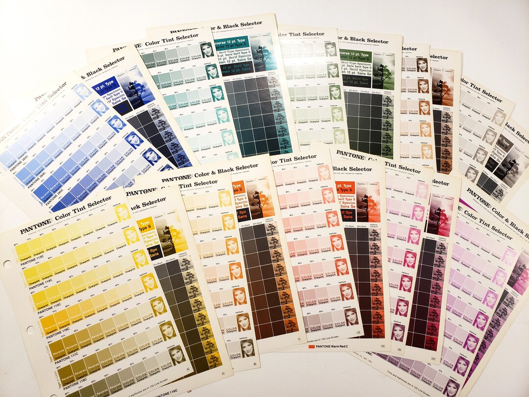PANTONE Color Guide Pages, Tint & Shade Selector, 1984 COLOUR Vintage ...