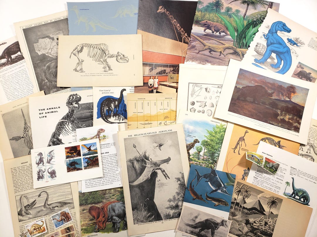 Dinosaur Illustrations, Vintage Paper, Ephemera Pack, Junk Journals ...