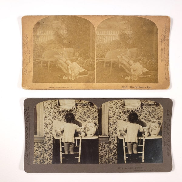 Stereograph - Etsy