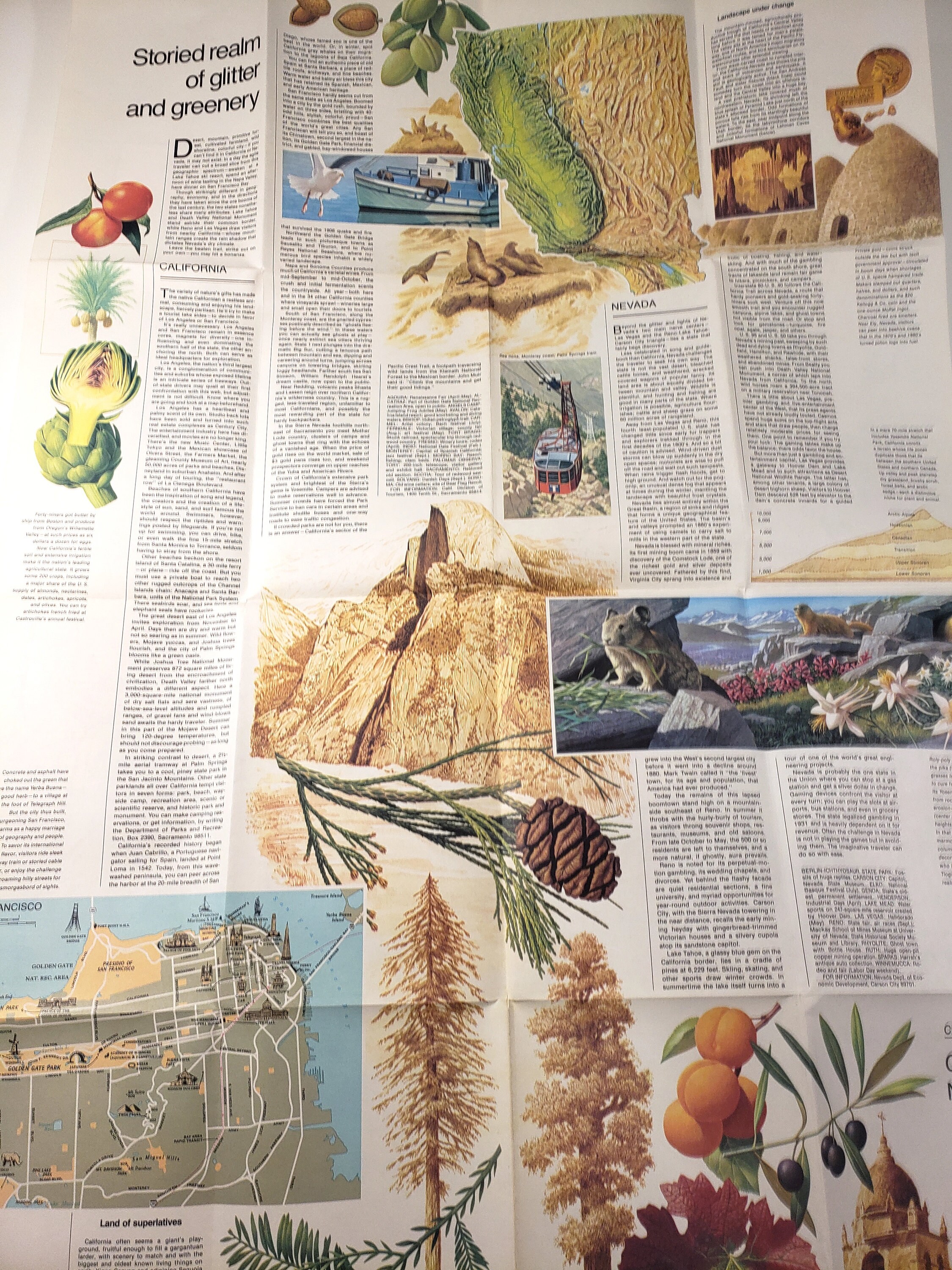 National Geographic Maps, USA States Wall Map, 1970, Vintage Ephemera ...
