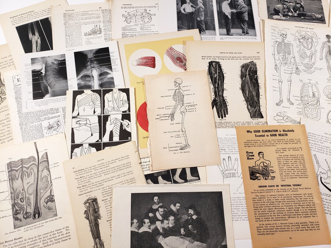 Medical & First Aid, Anatomy, Vintage Paper Ephemera Pack, 25+ Pieces ...