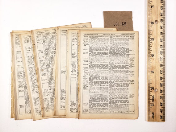 Collage Antique Illustrated Bible Pages collage art scrapbooking ...