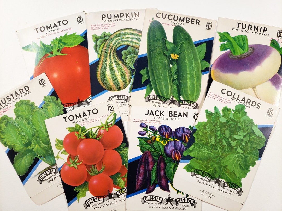 Vintage VEGETABLE Packets, EMPTY, 8 Different, Gardening, Spring ...