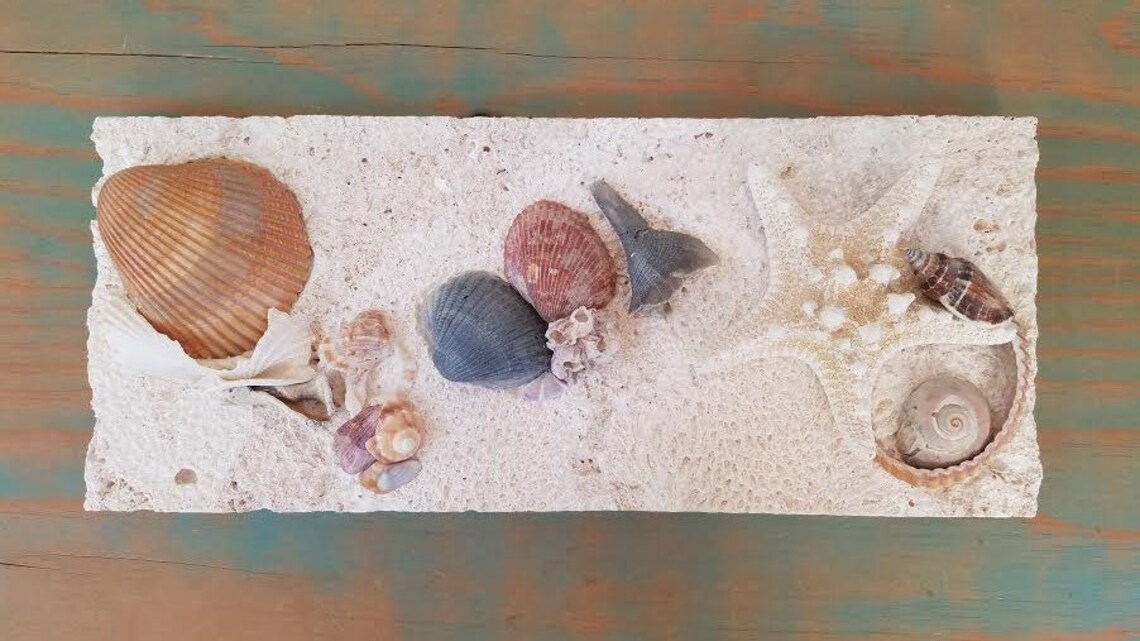 Coralstone and Sea Shell Inlay Tiles | Etsy