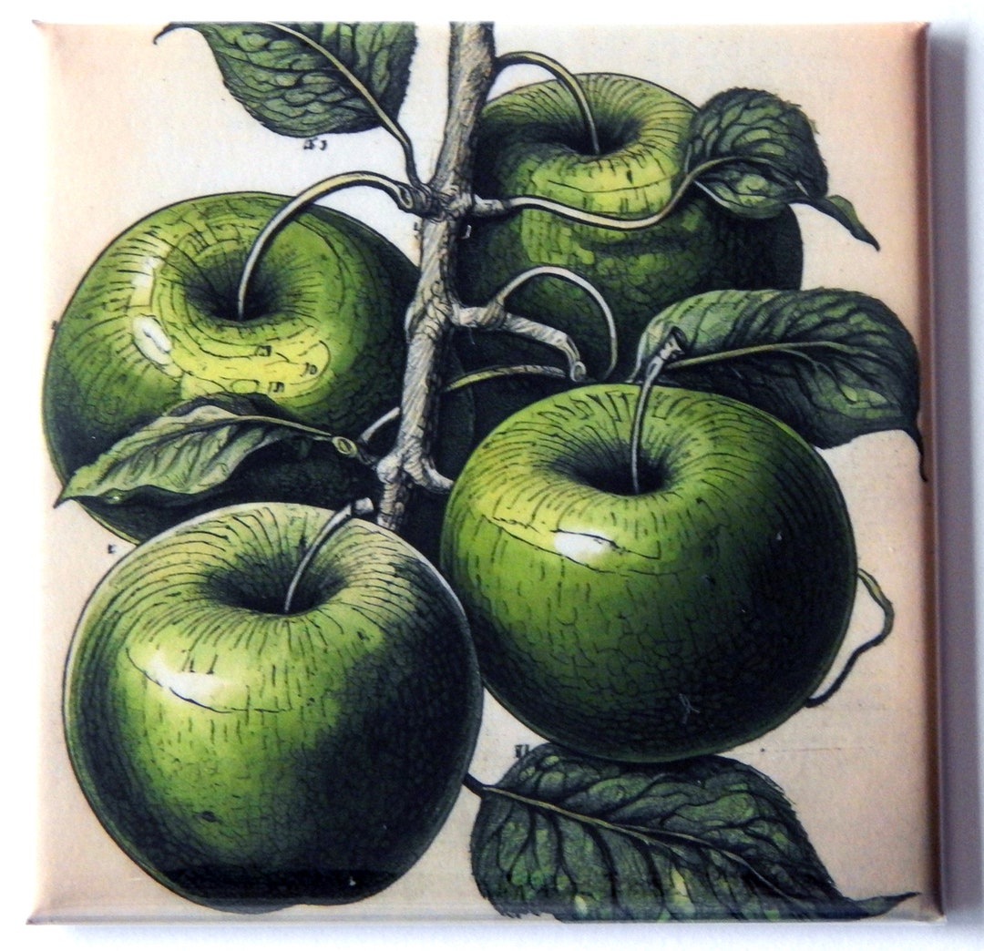 Green Apple Fridge Magnet "style C" - Etsy