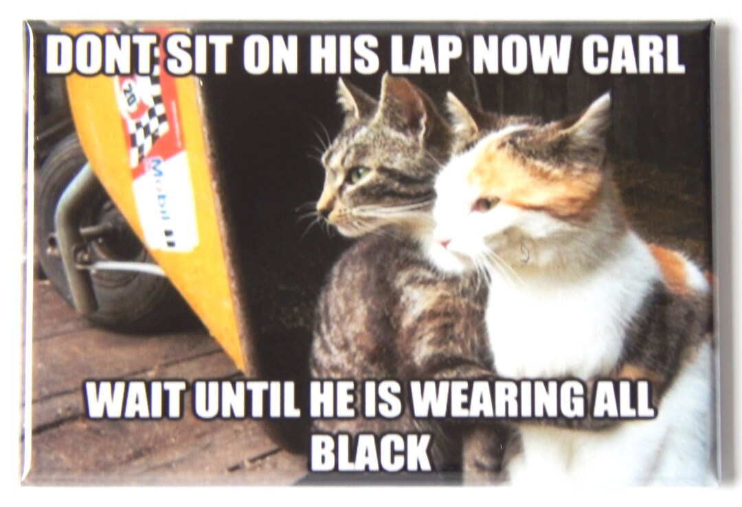 Cat Meme #46 Fridge Magnet - Etsy
