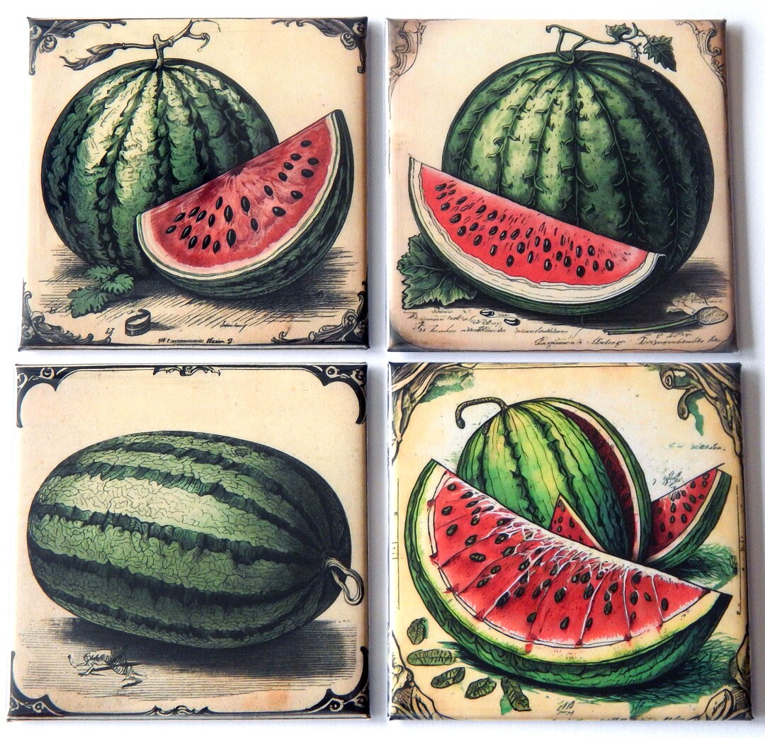 Watermelon Fridge Magnet Set - Etsy