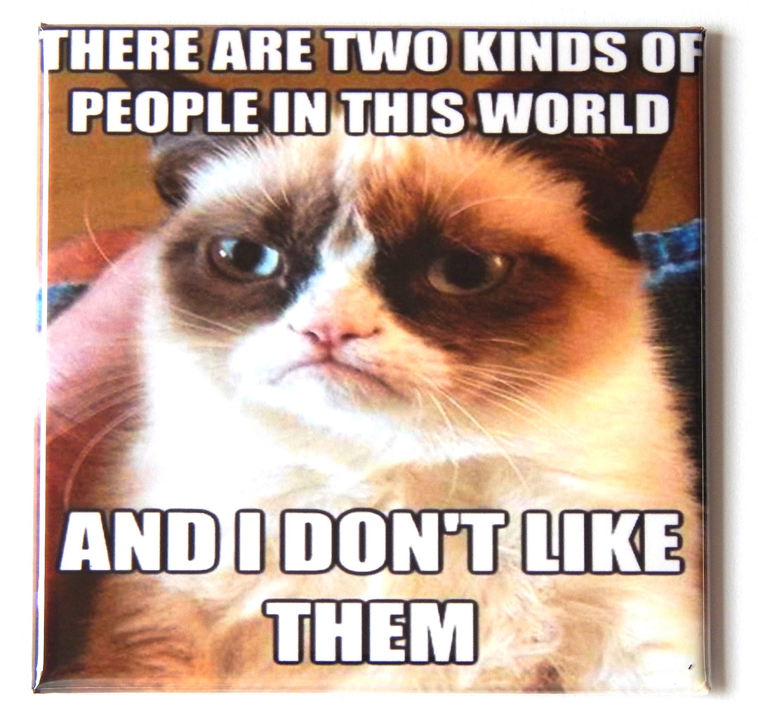 Cat Meme #96 Fridge Magnet - Etsy