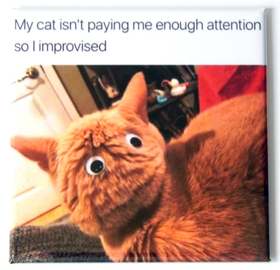 Cat Meme 6 Fridge Magnet - Etsy