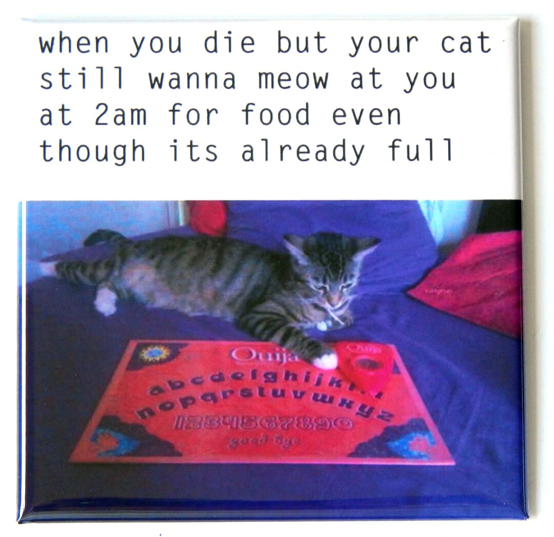 Cat Meme #37 Fridge Magnet - Etsy