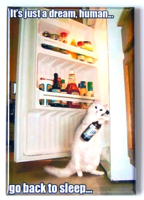 Cat Meme 39 Fridge Magnet | Etsy