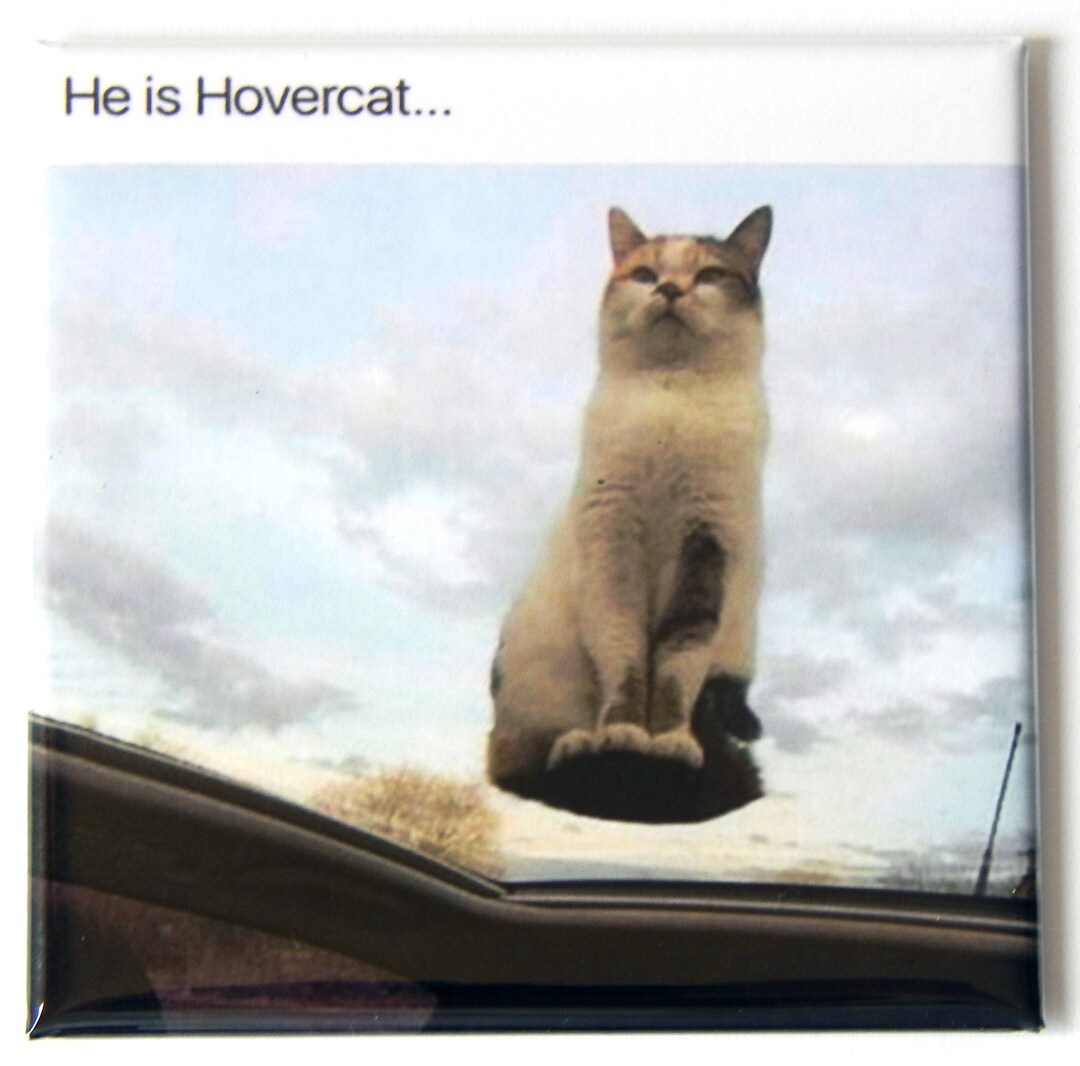 Cat Meme #7 Fridge Magnet - Etsy