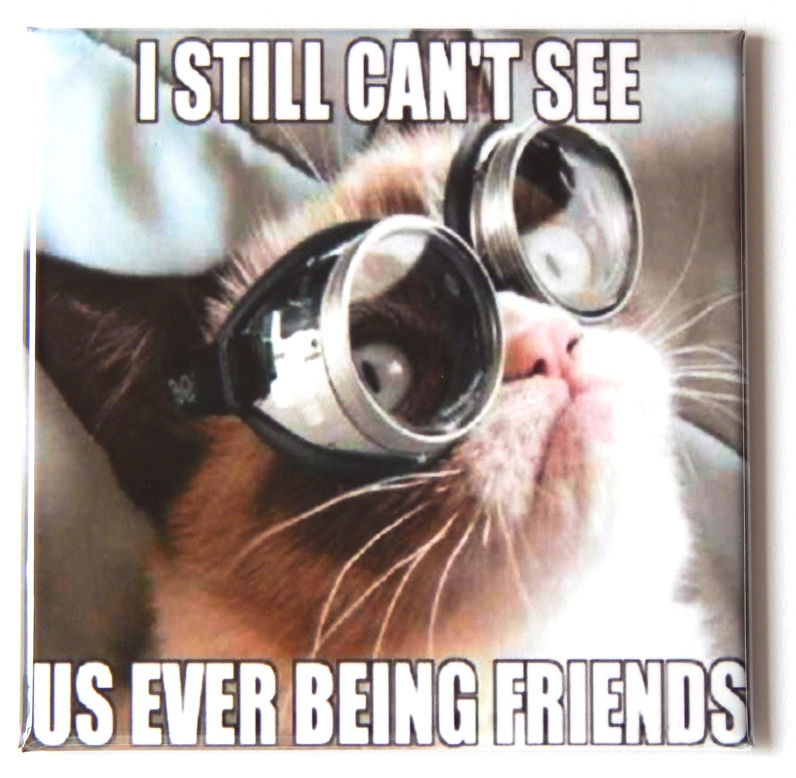 Cat Meme 93 Fridge Magnet - Etsy