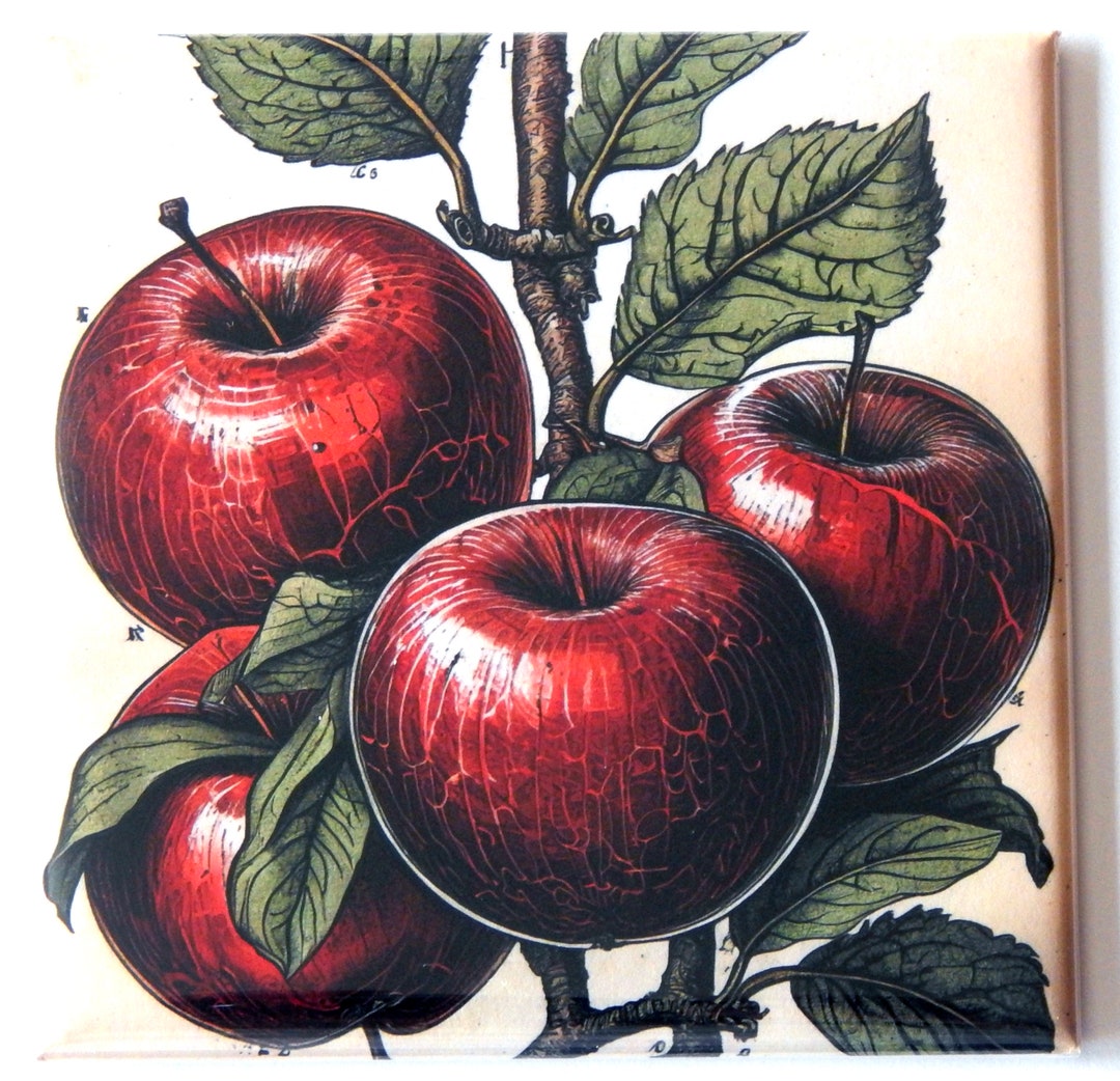 Red Apple Fridge Magnet "style E" - Etsy