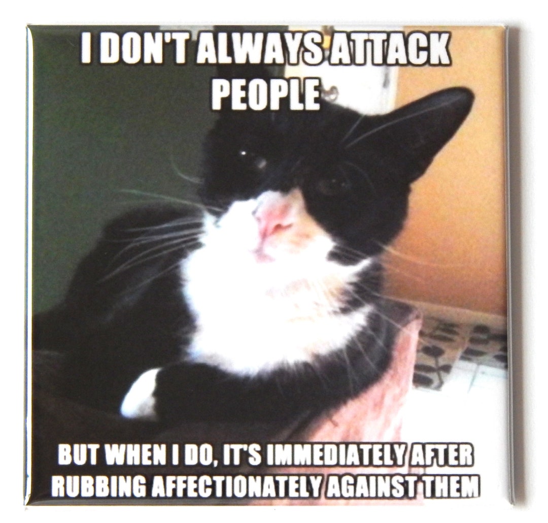 Cat Meme #11 Fridge Magnet - Etsy