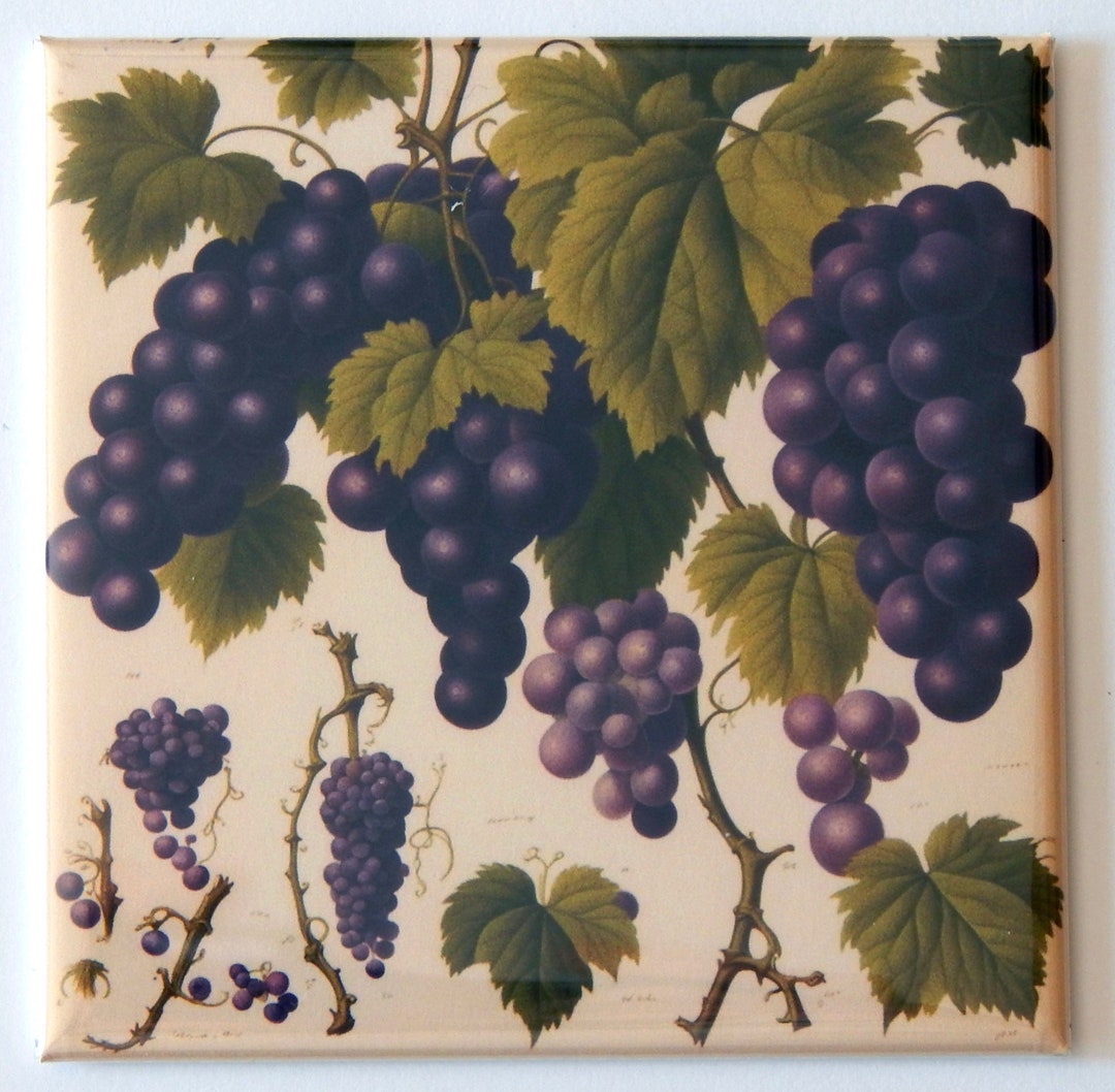 Purple Grapes Fridge Magnet "style B" - Etsy